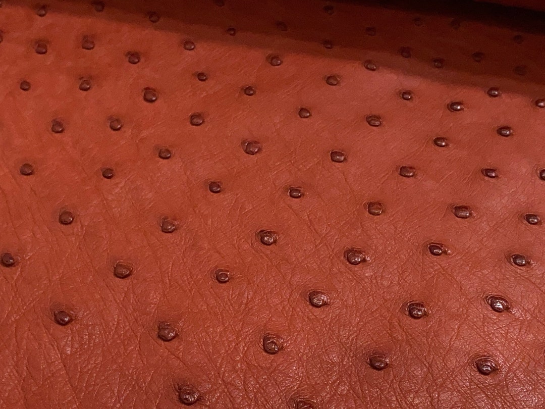 Ostrich Hide Leather Gerbera Sf Color (%100 Genuine Natural Skin) - Etsy