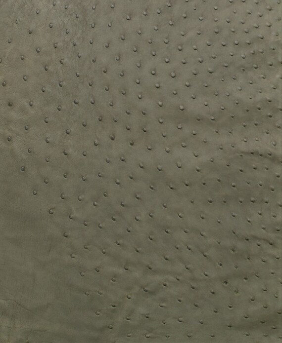 Ostrich Hide Leather Olive Green Color %100 Genuine Natural | Etsy