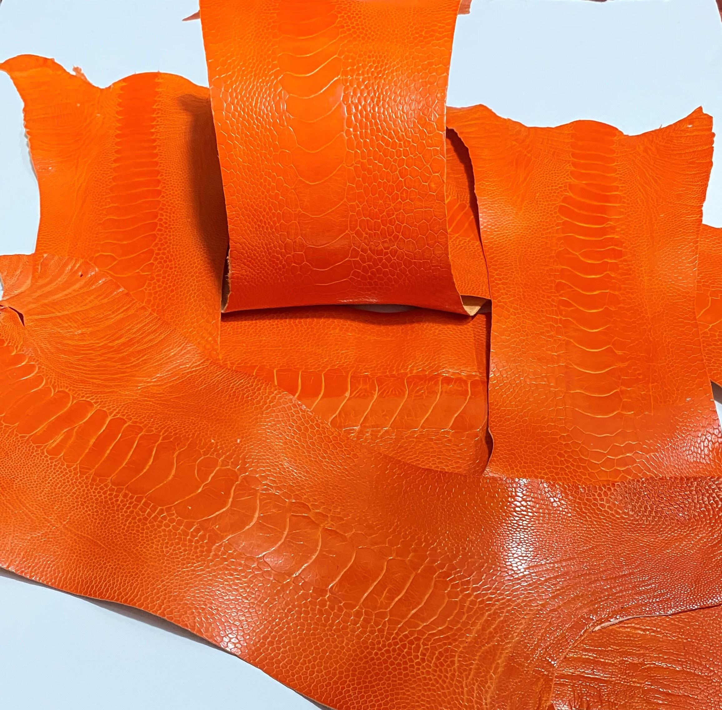 Ostrich Leg Leathers Orange Color | Etsy