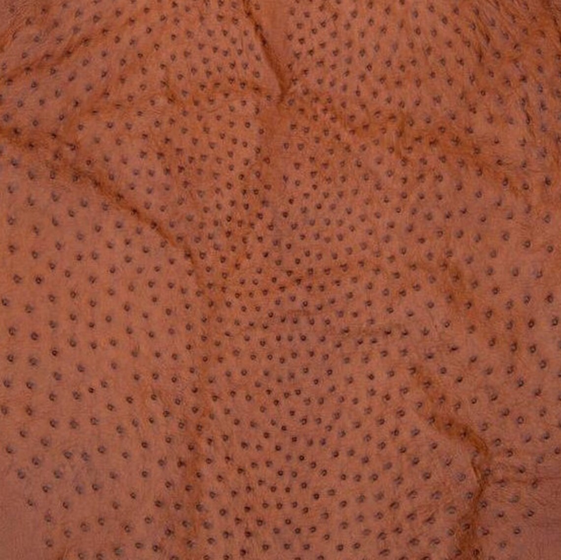 Ostrich Hide Leather Cinnamon Color maddog %100 Genuine | Etsy