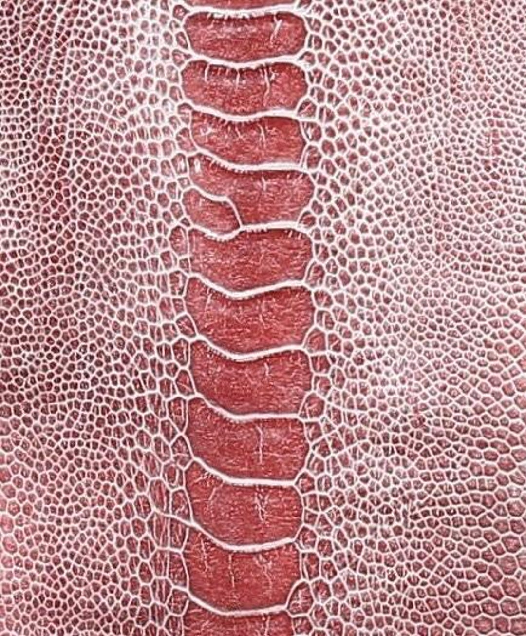 Ostrich Leg Leathers Rio Flame Red Color - Etsy