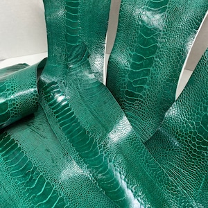 Ostrich Legs Brilliant Green GL Color - Etsy