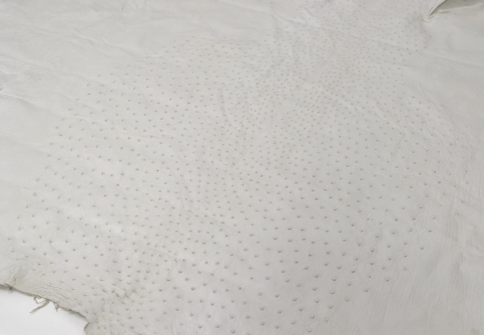 Ostrich Hide Leather Snow White Color %100 Genuine Natural | Etsy