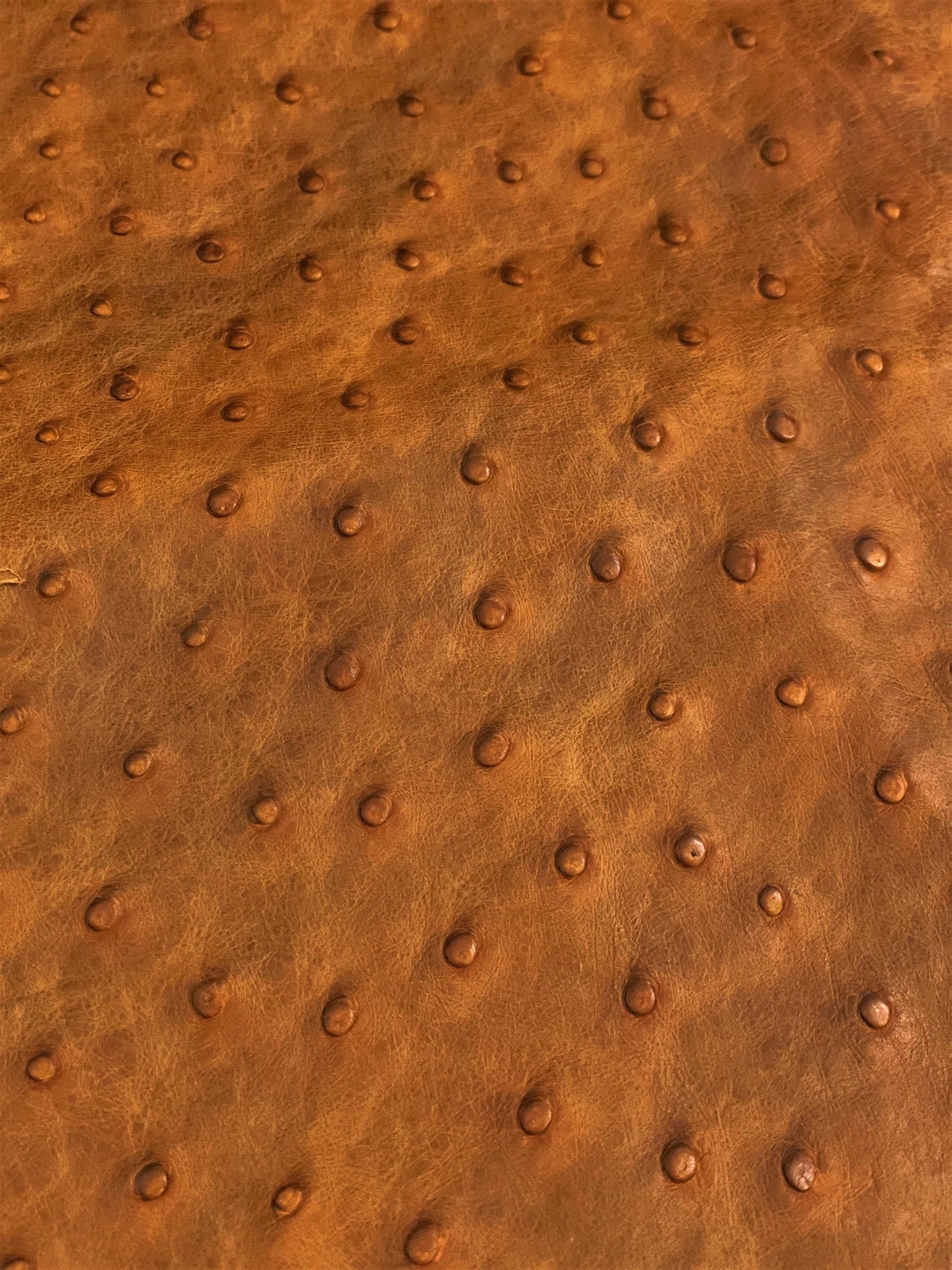 Ostrich Hide Leather Chestnut Color (maddog) (%100 Genuine Natural Skin ...