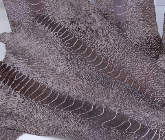 Ostrich Leg Leathers Rugged Rio Grande Color glazed Grade B - Etsy