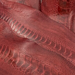 Ostrich Leg Leathers Campari Color (glazed) Grade A - Etsy