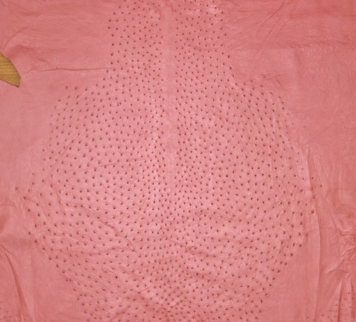 Ostrich Hide Leather Pearl Rose Color %100 Genuine Natural - Etsy