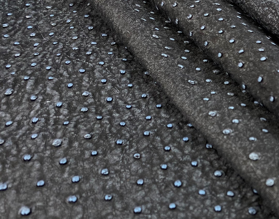 Ostrich Hide Leather Denim Variegated Finish (%100 Genuine Natural Skin ...