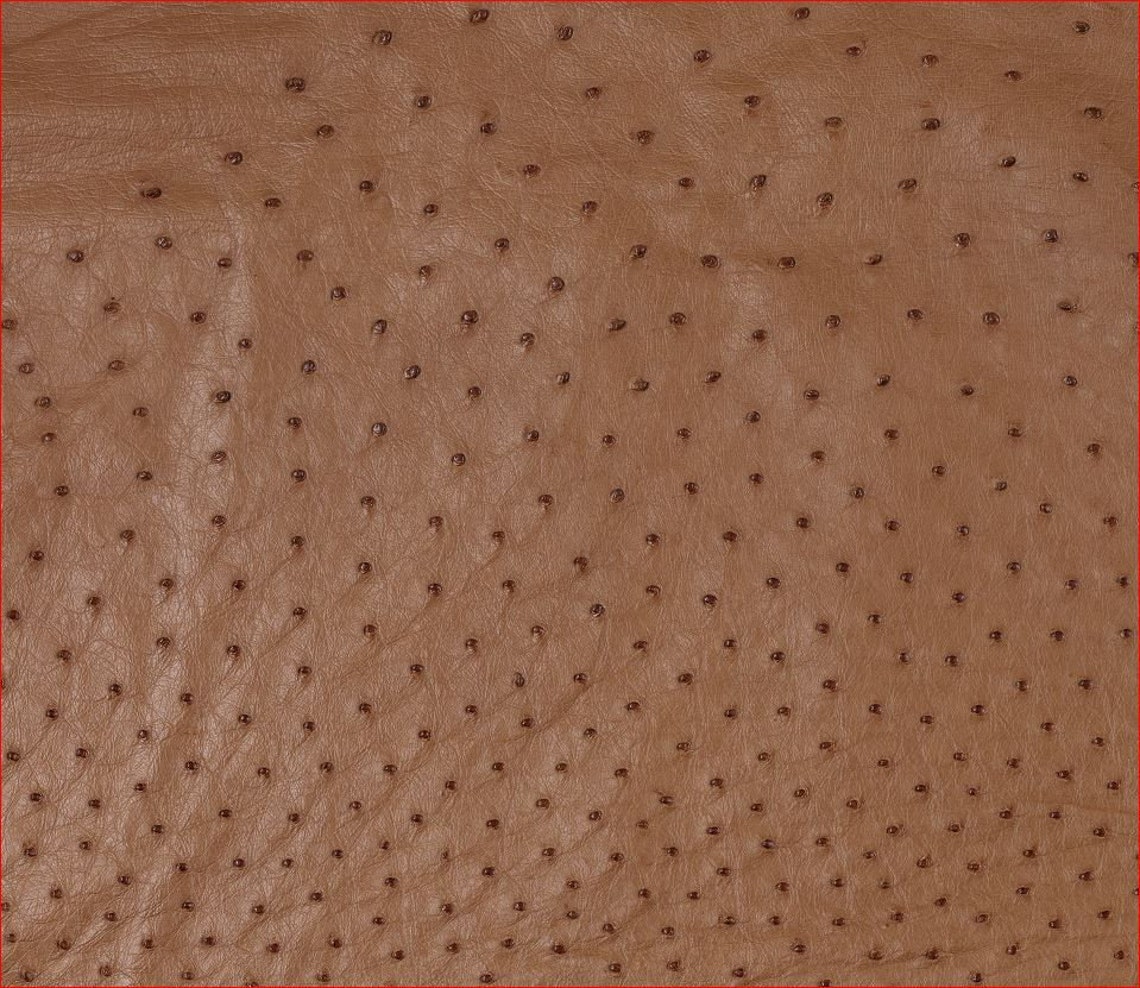 Ostrich Hide Leather Saddle Color %100 Genuine Natural Skin - Etsy