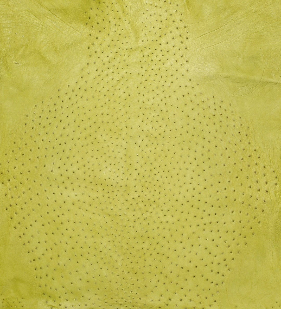 Ostrich Hide Leather Rising Sun Color (%100 Genuine Natural Skin ) - Etsy