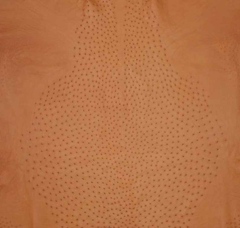 Ostrich Hide Leather Chestnut Color %100 Genuine Natural Skin - Etsy