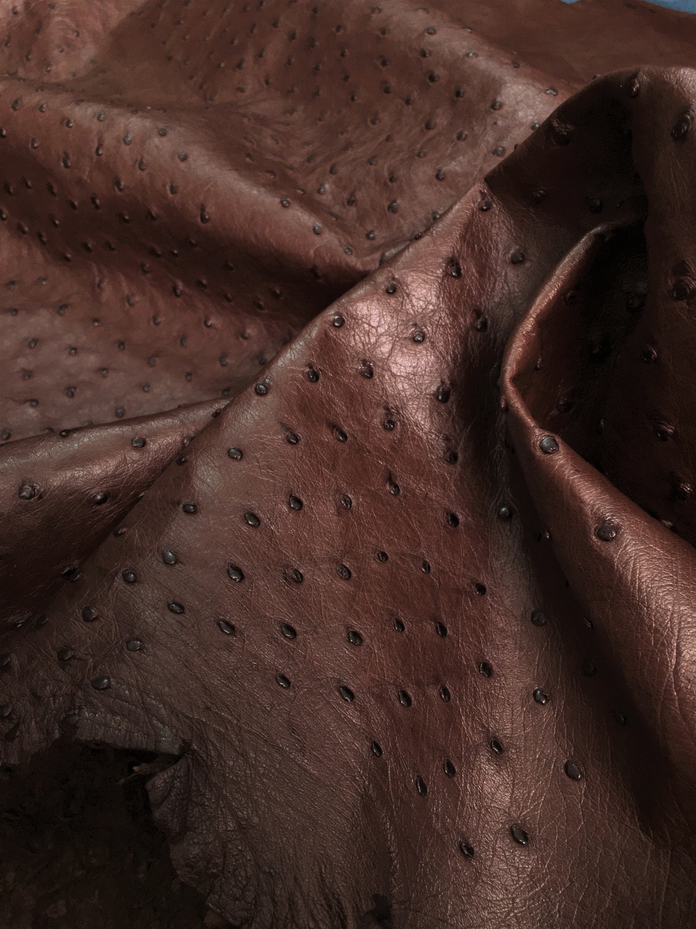 Ostrich Hide Leather Hickory Brown Color %100 Genuine Natural | Etsy