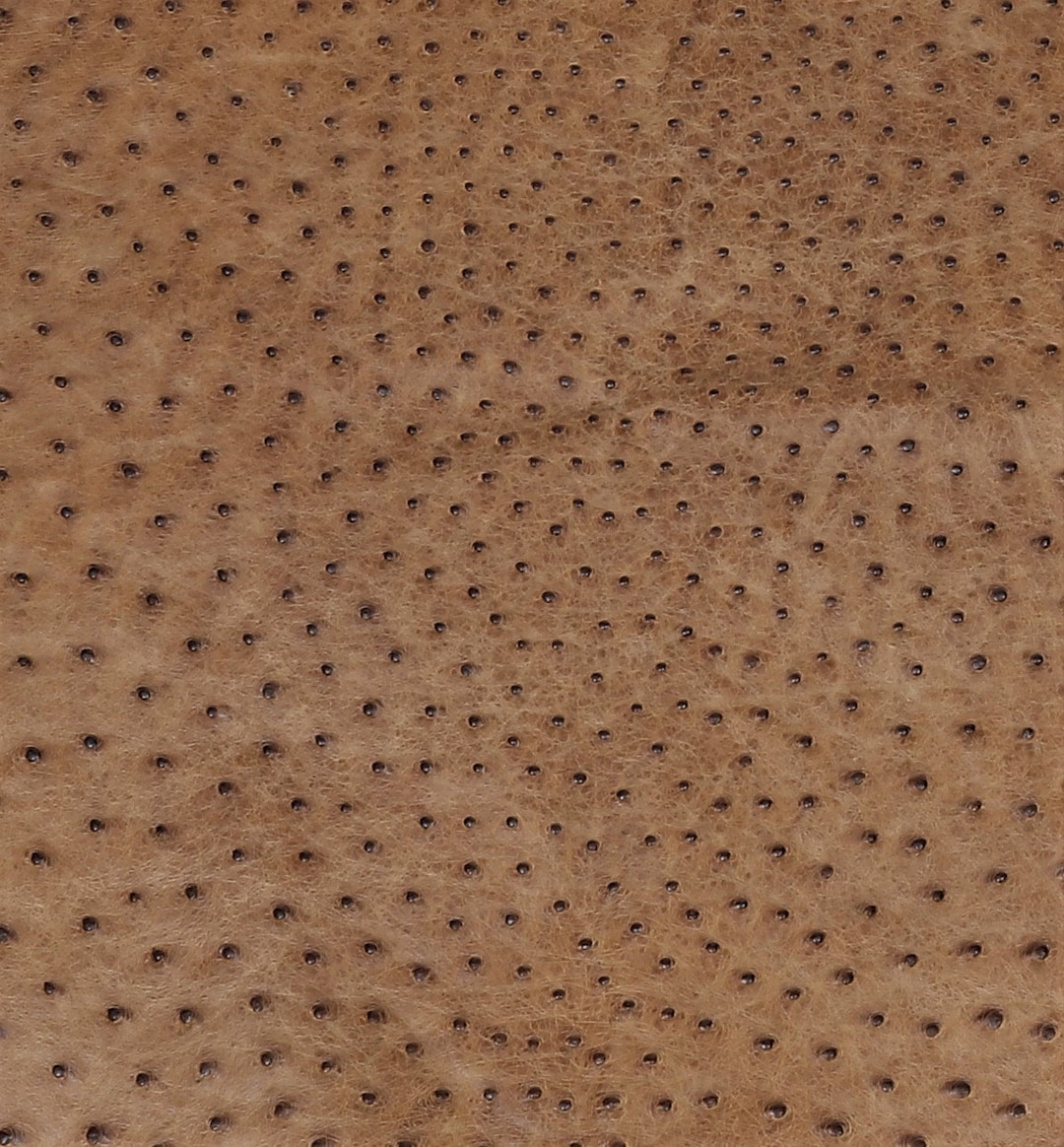 Ostrich Leather Skin Saddle Maddog Color (%100 Genuine Natural Skin) - Etsy