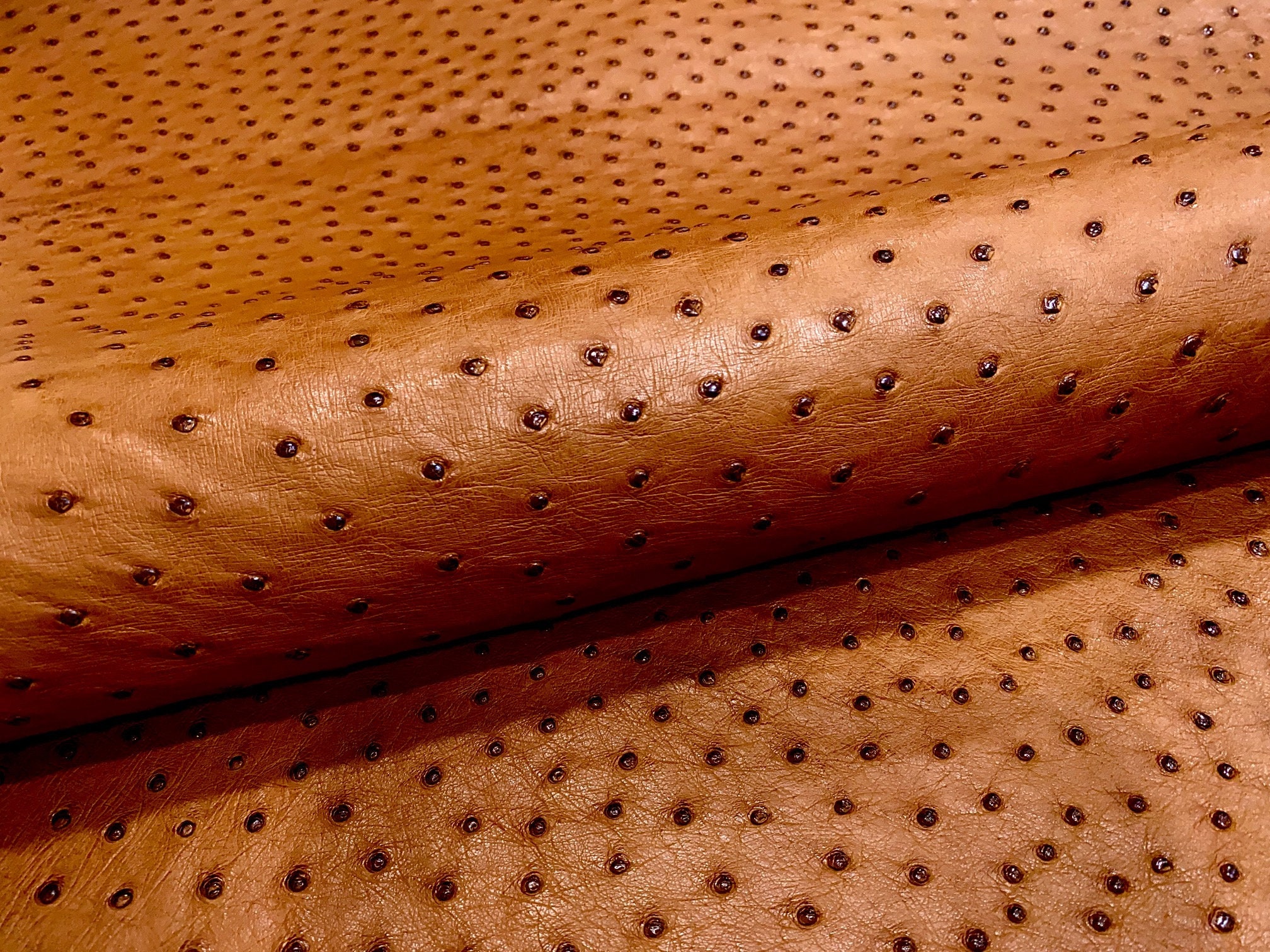 Ostrich Hide Leather Cognac Color SF %100 Genuine Natural - Etsy