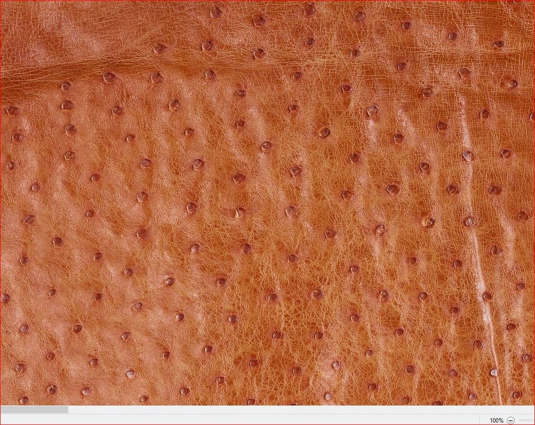 Ostrich Skin Leather Cognac (maddog) Color (%100 Genuine Natural Skin ...