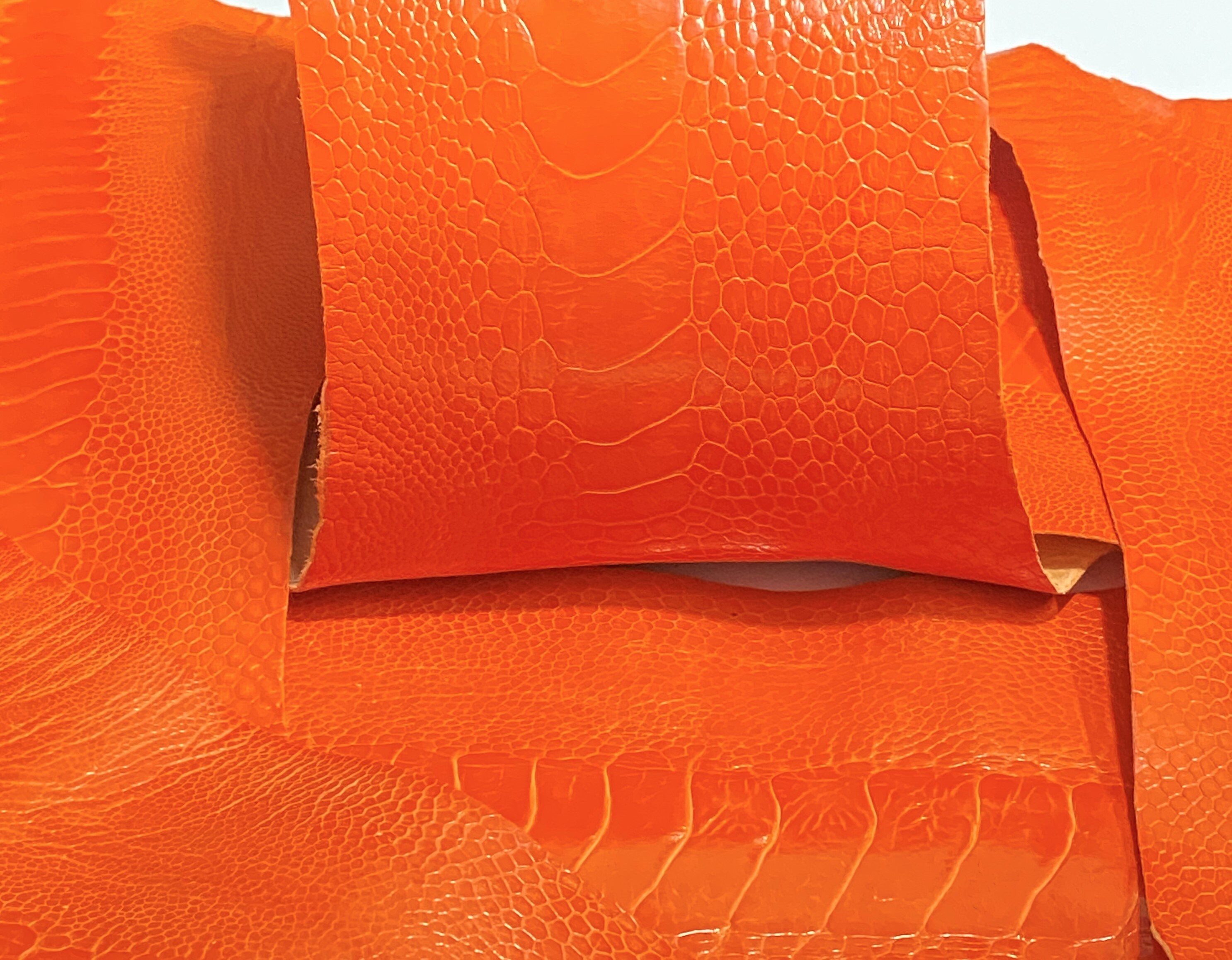 Ostrich Leg Leathers Orange Color | Etsy