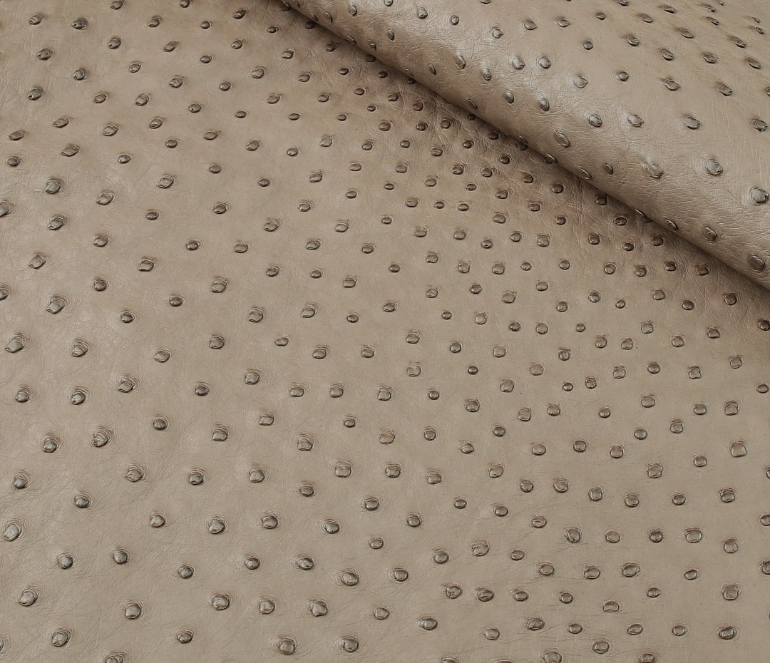 Ostrich Skin Leather Mink SF Color (%100 Genuine Natural Skin ) - Etsy