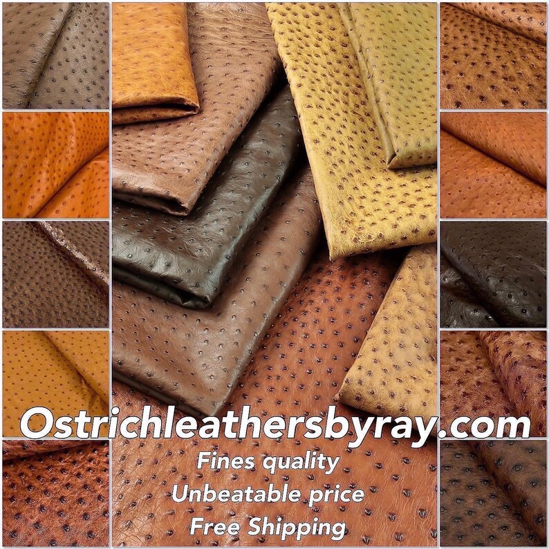 Ostrich Hide Leather Cinnamon Color maddog %100 Genuine - Etsy