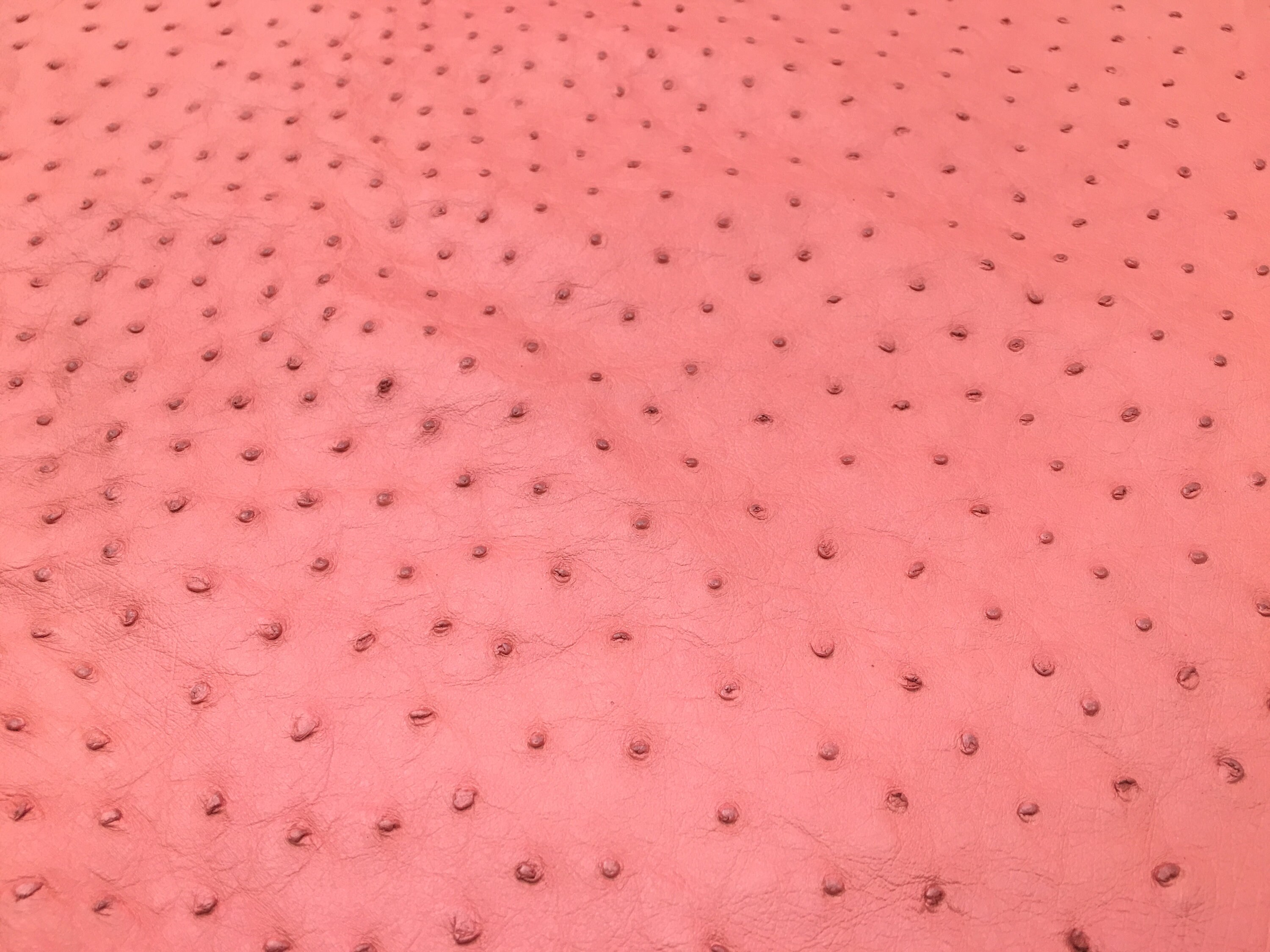 Ostrich Hide Leather Pearl Rose Color %100 Genuine Natural - Etsy