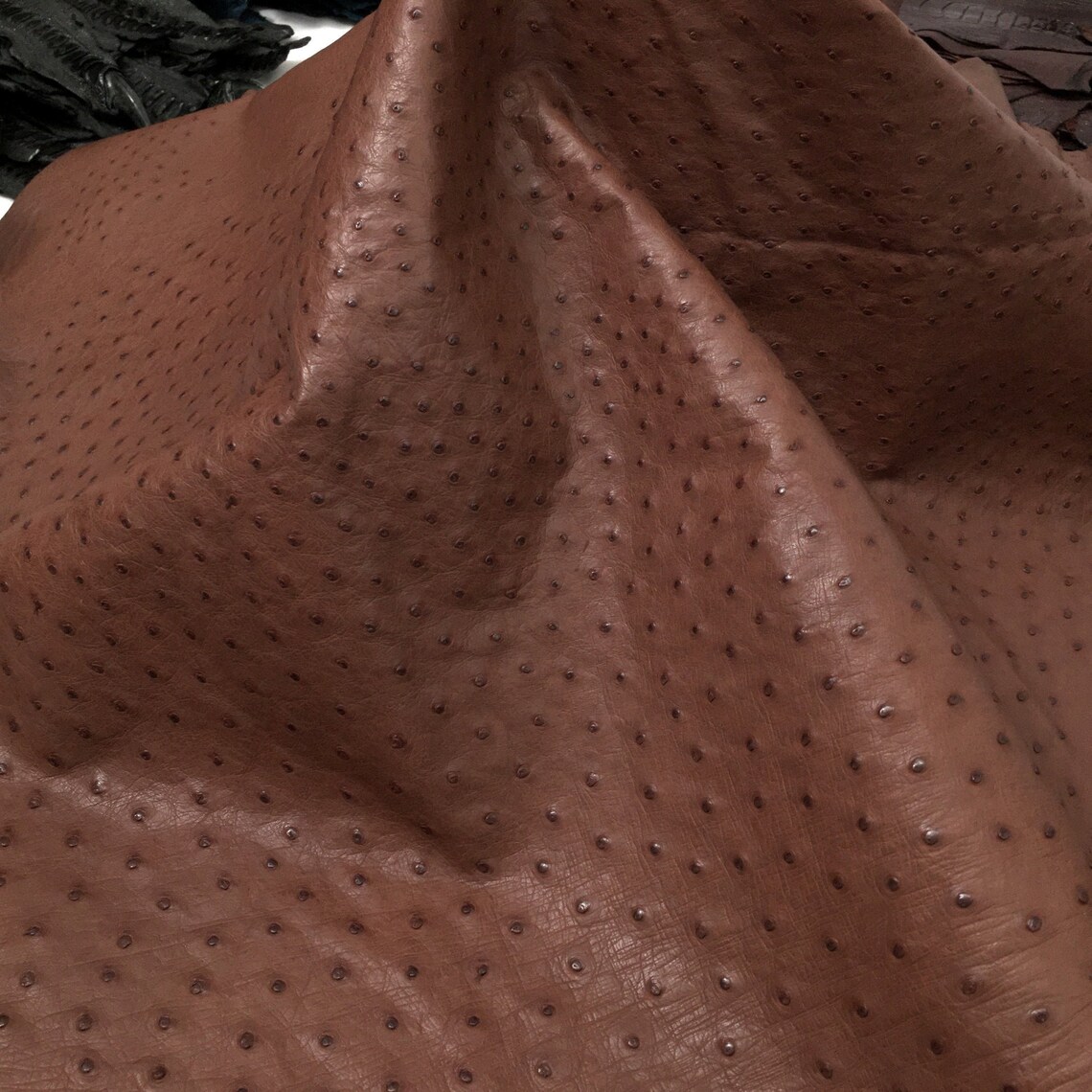 Ostrich Hide Leather Hickory Brown Color %100 Genuine Natural - Etsy