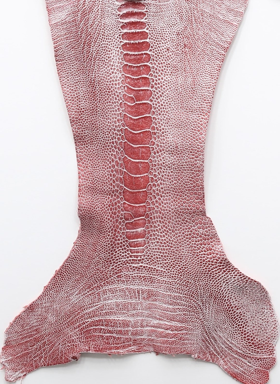 Ostrich Leg Leathers Rio Flame Red Color - Etsy