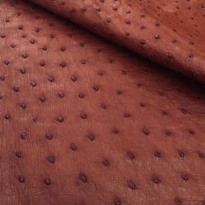 Ostrich Hide Leather Burnt Umber Color (%100 Genuine Natural Skin ) - Etsy