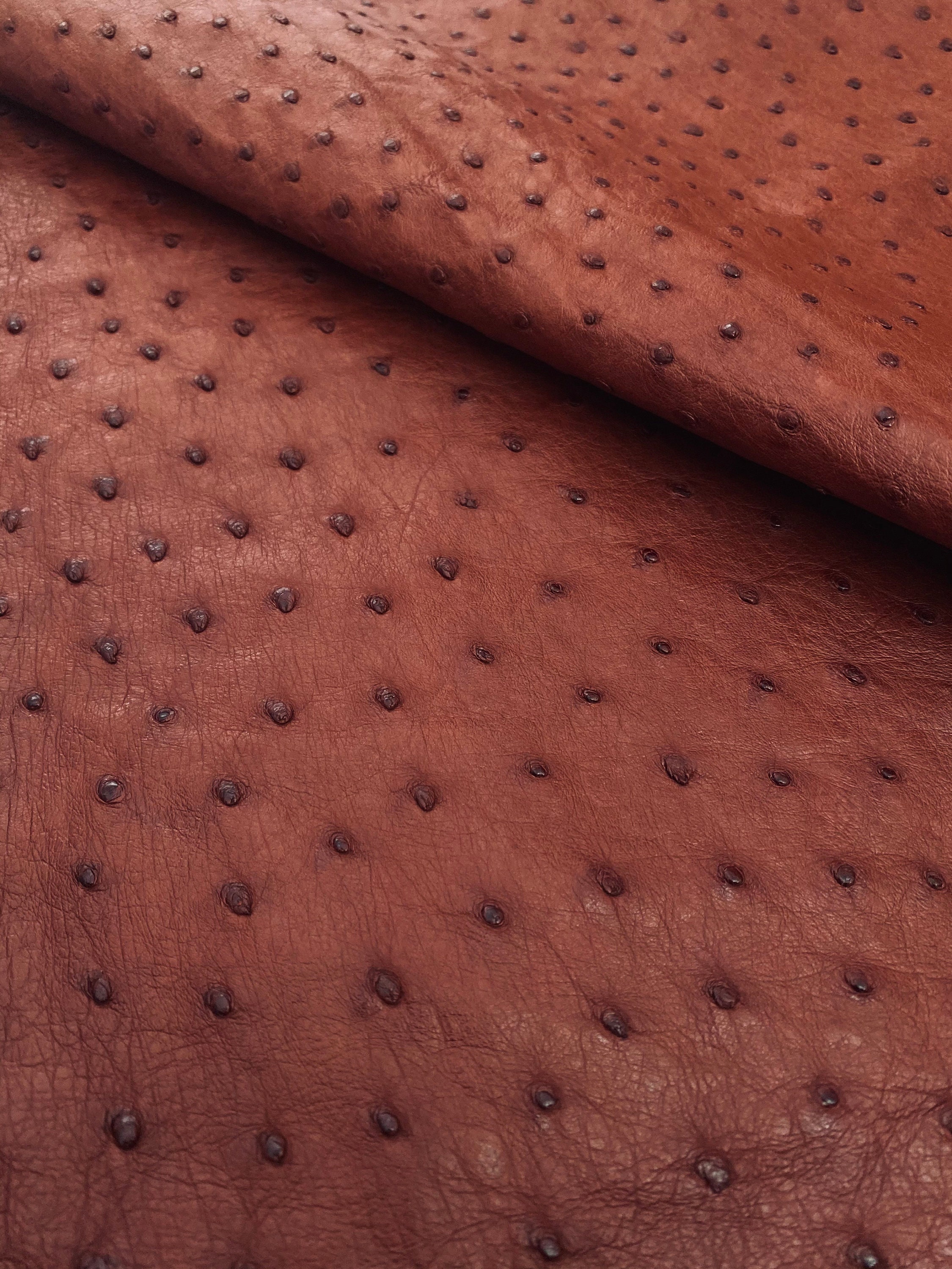 Ostrich Hide Leather Burnt Umber Color (%100 Genuine Natural Skin ) - Etsy