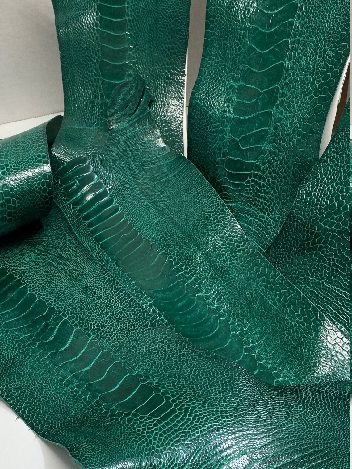Ostrich Legs Brilliant Green GL Color - Etsy