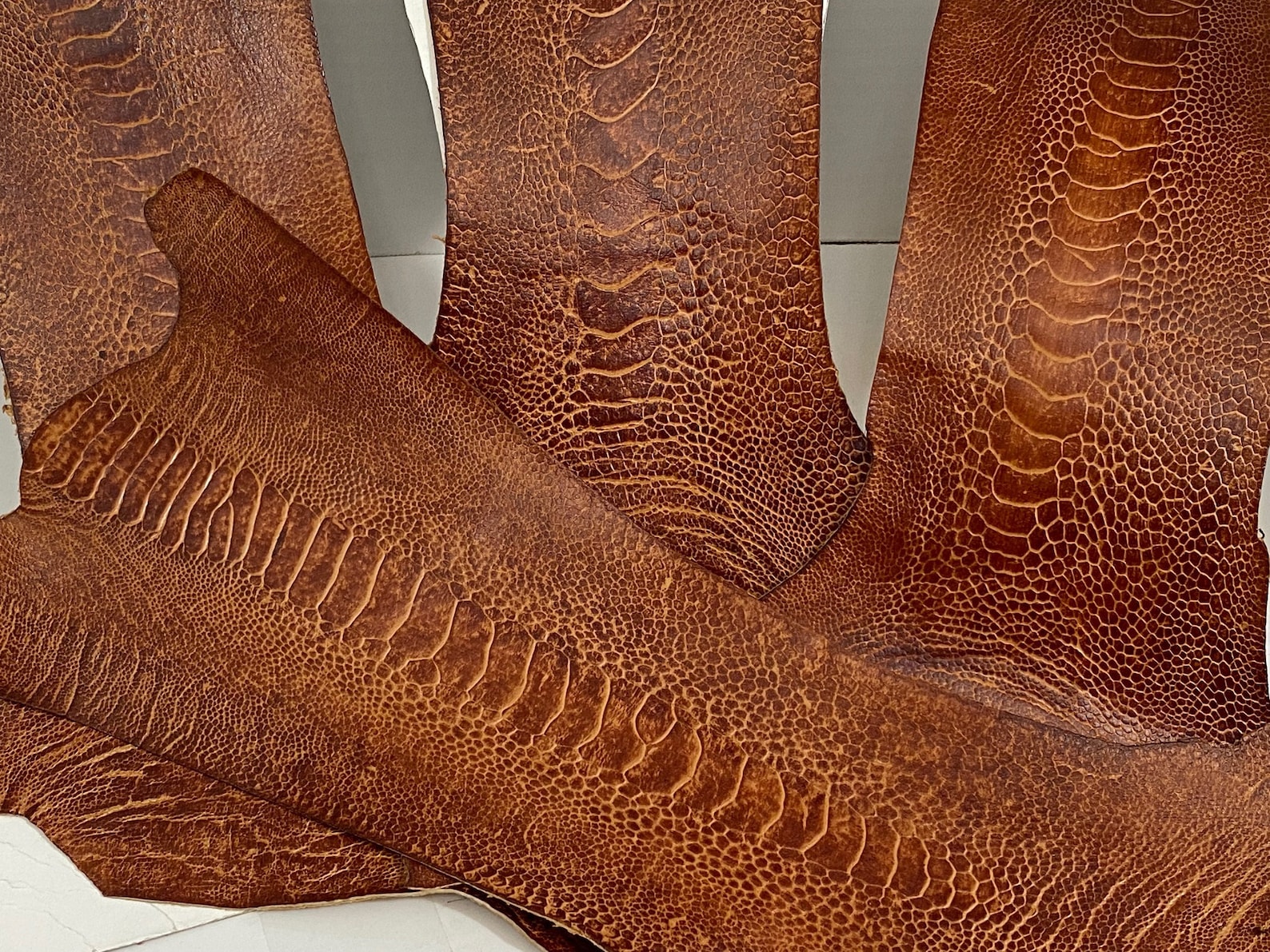 Ostrich Leg Leathers Vintage Chestnut Color | Etsy