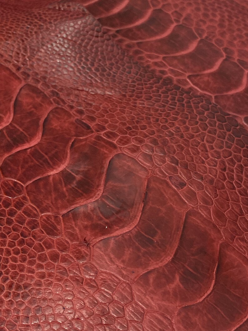 Ostrich Leg Leathers Campari Color glazed Grade A - Etsy