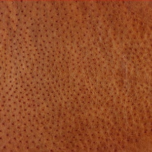 Ostrich Hide Leather Chestnut Color (maddog) (%100 Genuine Natural Skin ...