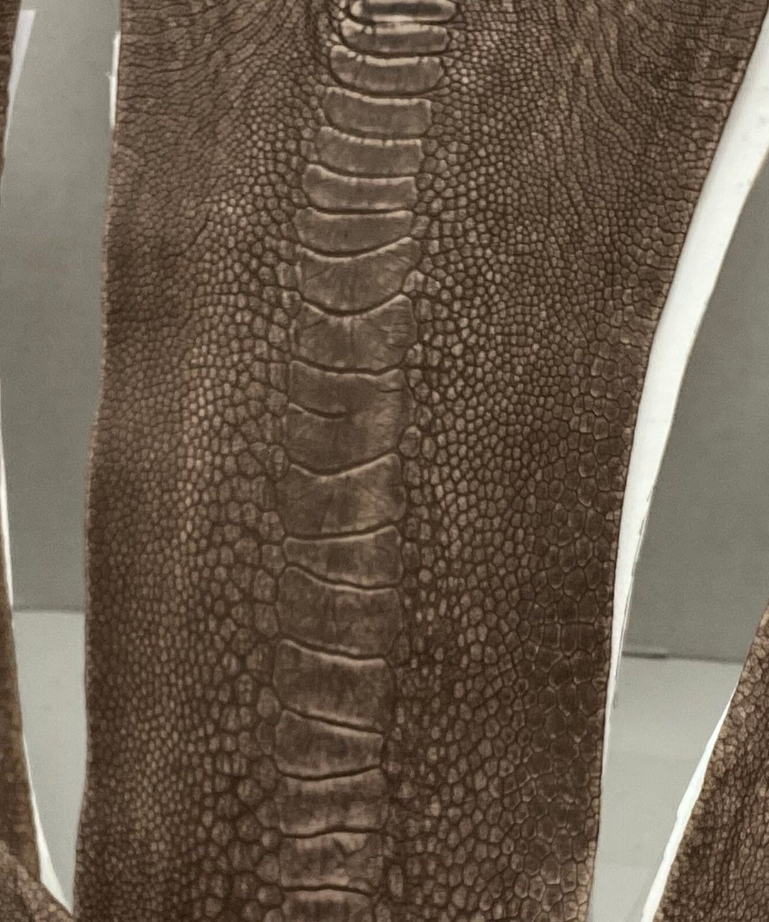 Ostrich Legs Leathers Nicotine Color (stone Washed) - Etsy