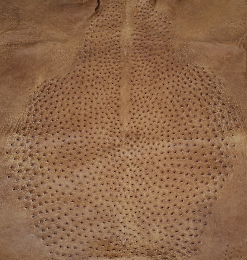 Ostrich Hide Leather Antique Saddle Color %100 Genuine - Etsy