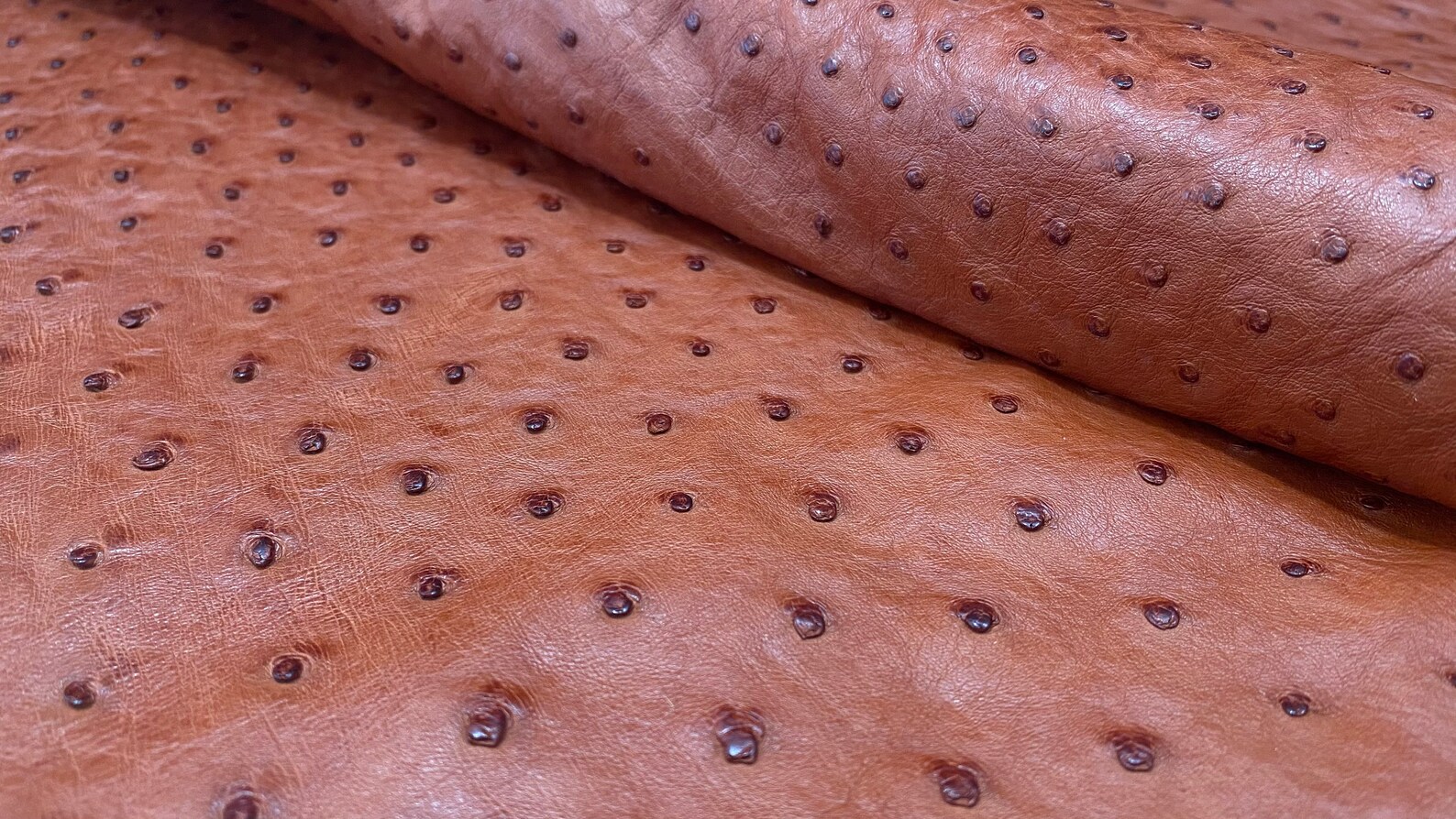Ostrich Hide Leather Burnt Orange Color %100 Genuine Natural - Etsy