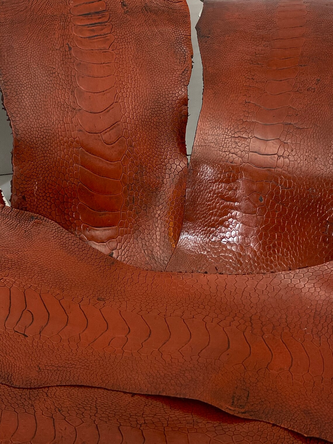 Ostrich Legs Leathers Almond vintage GL Color G.A | Etsy