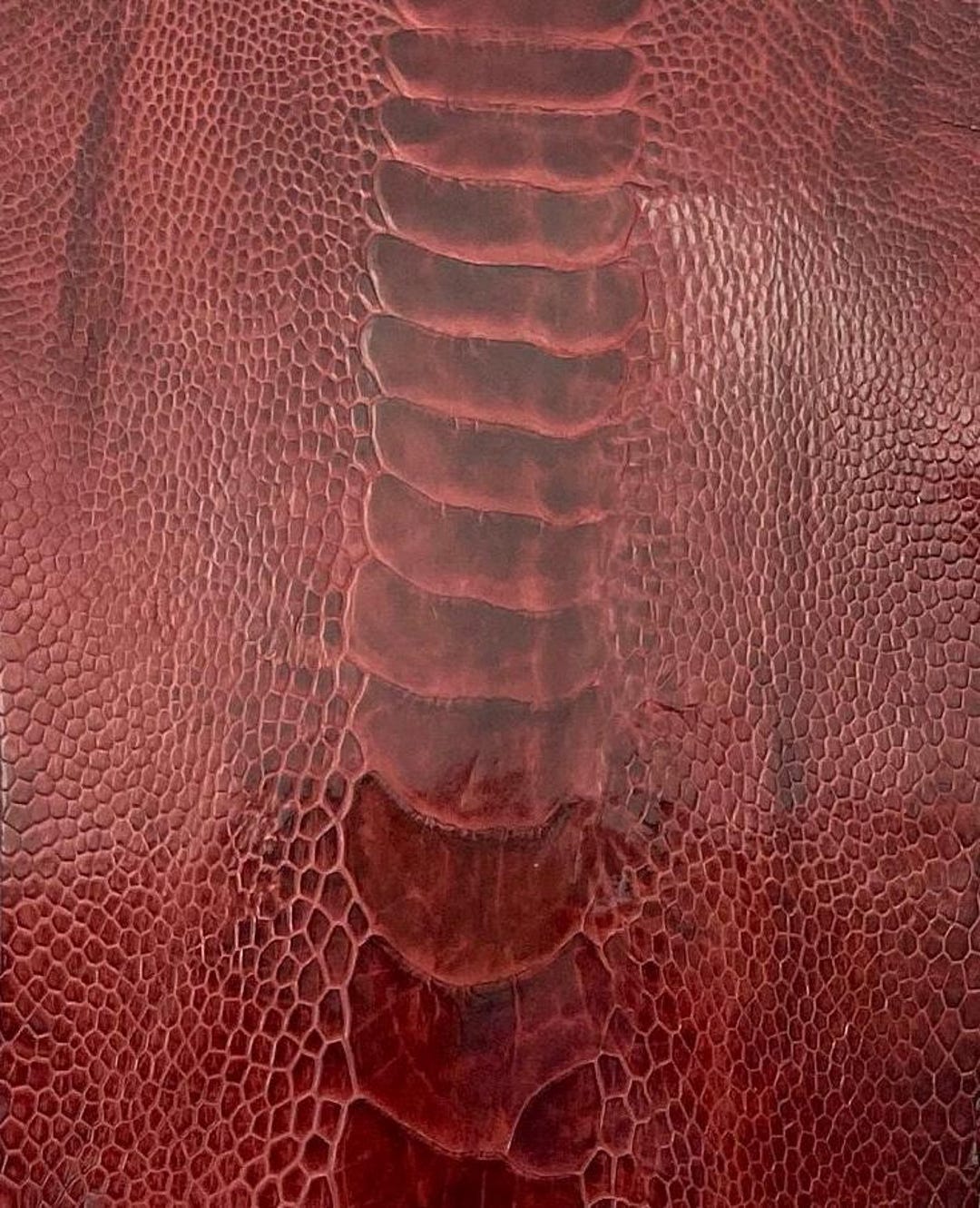 Ostrich Leg Leathers Campari Color (glazed) Grade A - Etsy