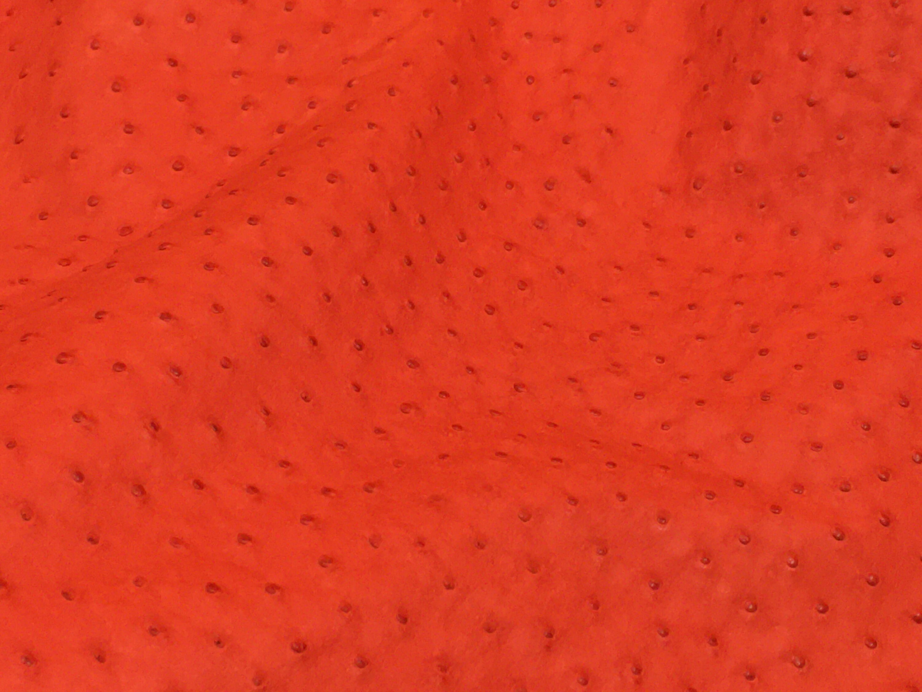 Ostrich Hide Leather Paprika Color %100 Genuine Natural Skin | Etsy