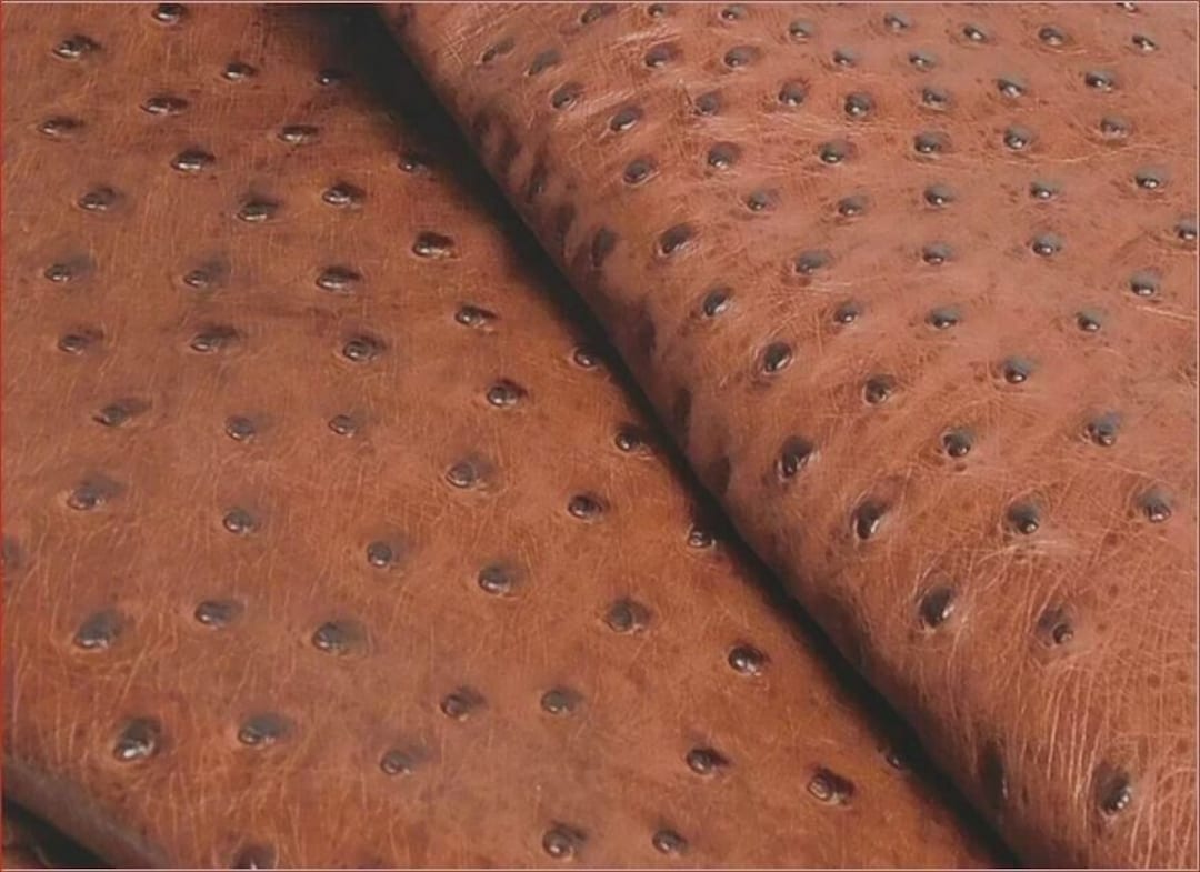 Ostrich Hide Leather Cinnamon Color (maddog) (%100 Genuine Natural Skin ...