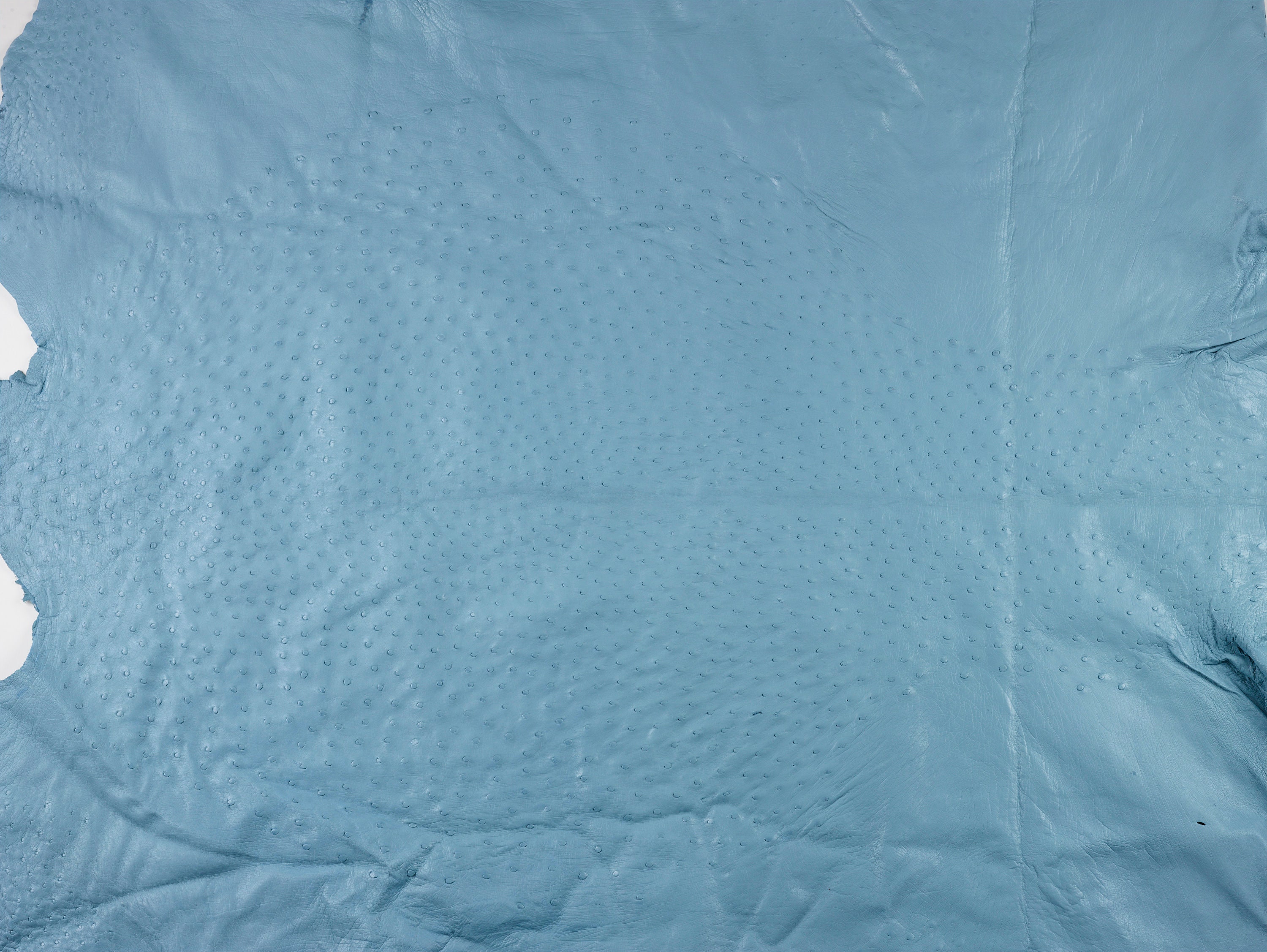Ostrich Hide Leather Sky Blue Color %100 Genuine Natural Skin | Etsy