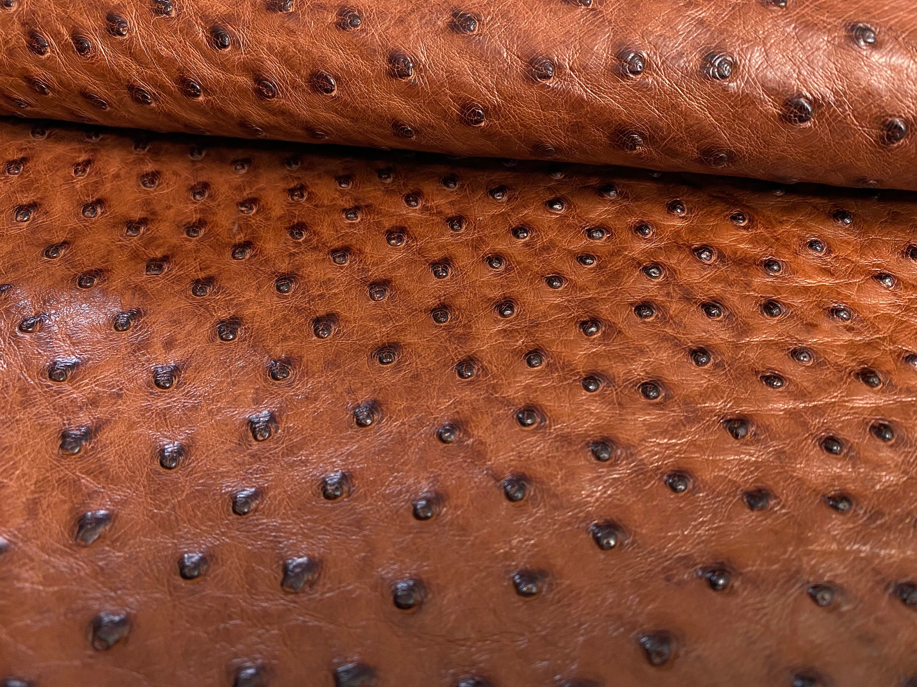 Ostrich Skin Leather Brandy Maddog (%100 Genuine Natural Skin) - Etsy
