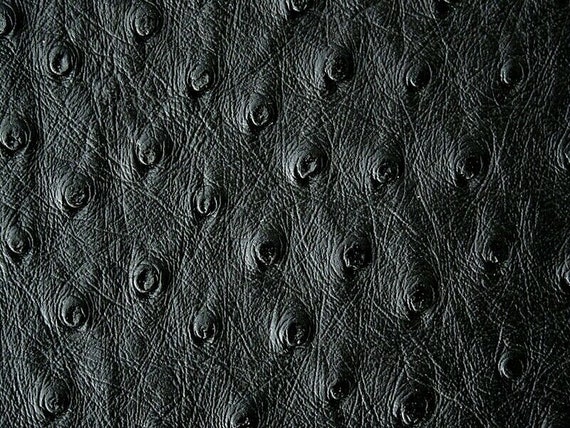 Ostrich Skin Leather Black Color %100 Genuine Natural Skin - Etsy