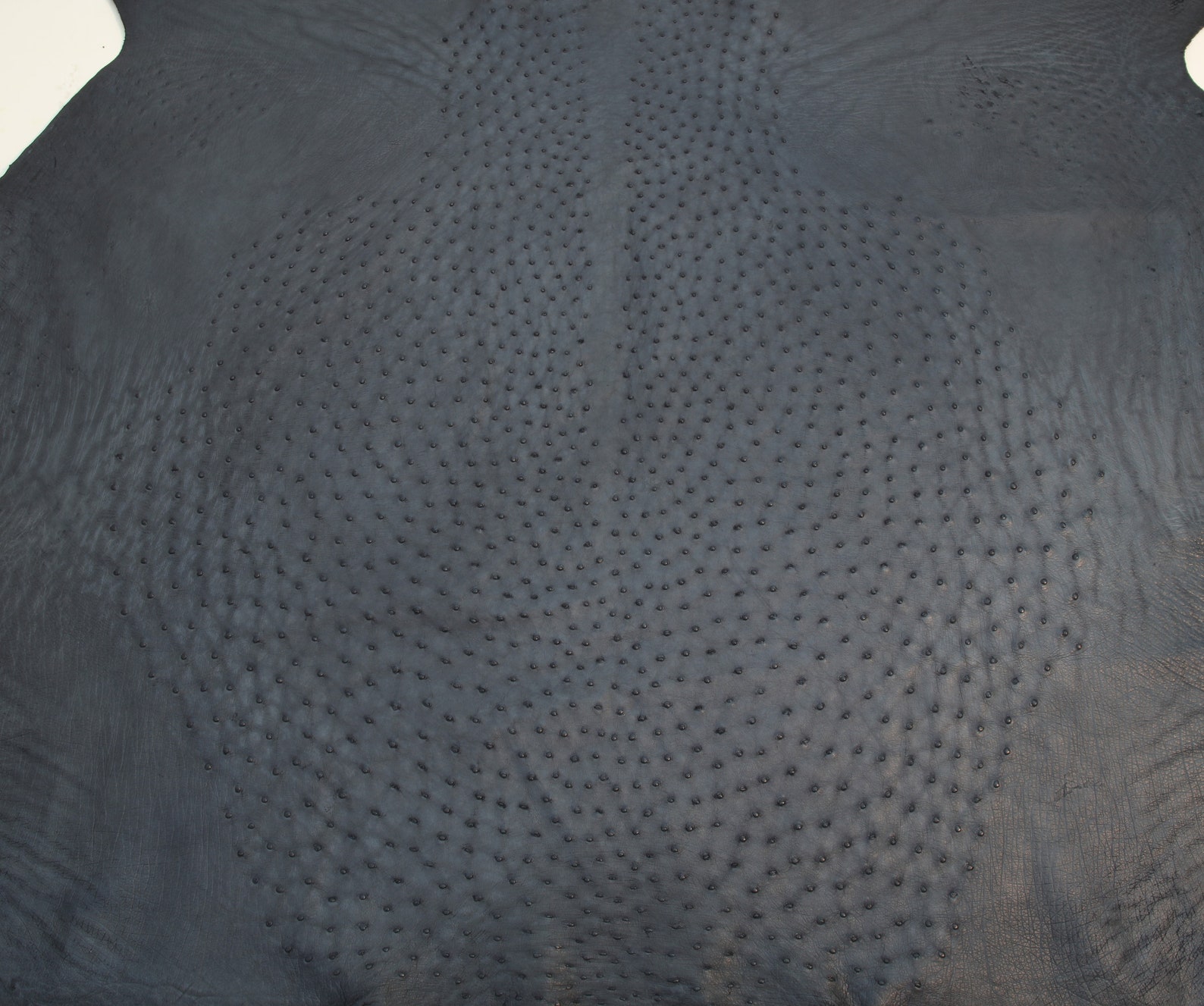 Ostrich Hide Leather Slate Blue Color (%100 Genuine Natural Skin ) - Etsy