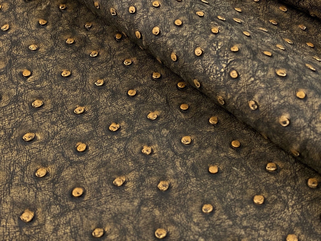 Ostrich Hide Leather Antique Saddle Variegated Finish (%100 Genuine ...