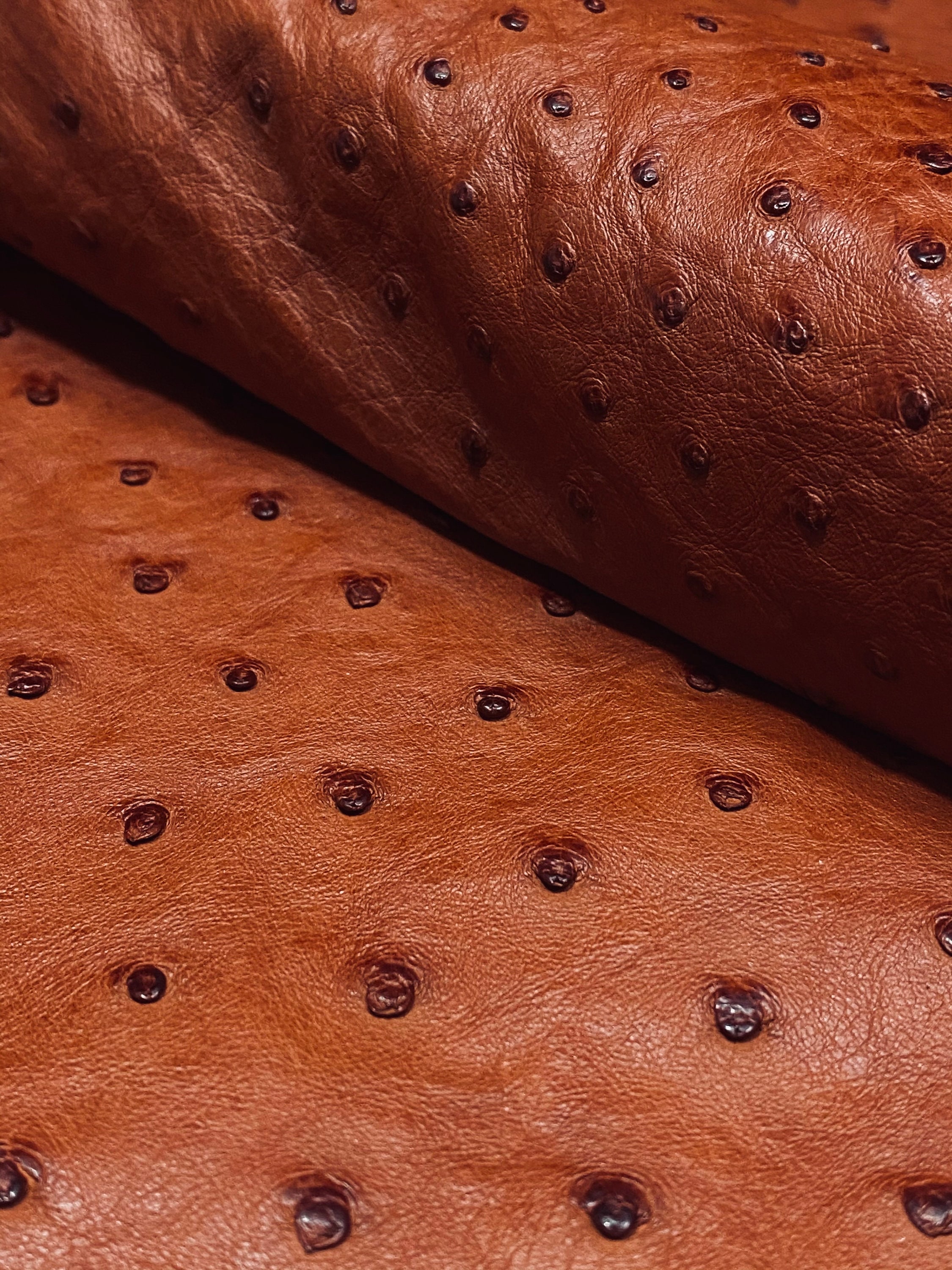 Ostrich Hide Leather Burnt Orange Color %100 Genuine Natural | Etsy