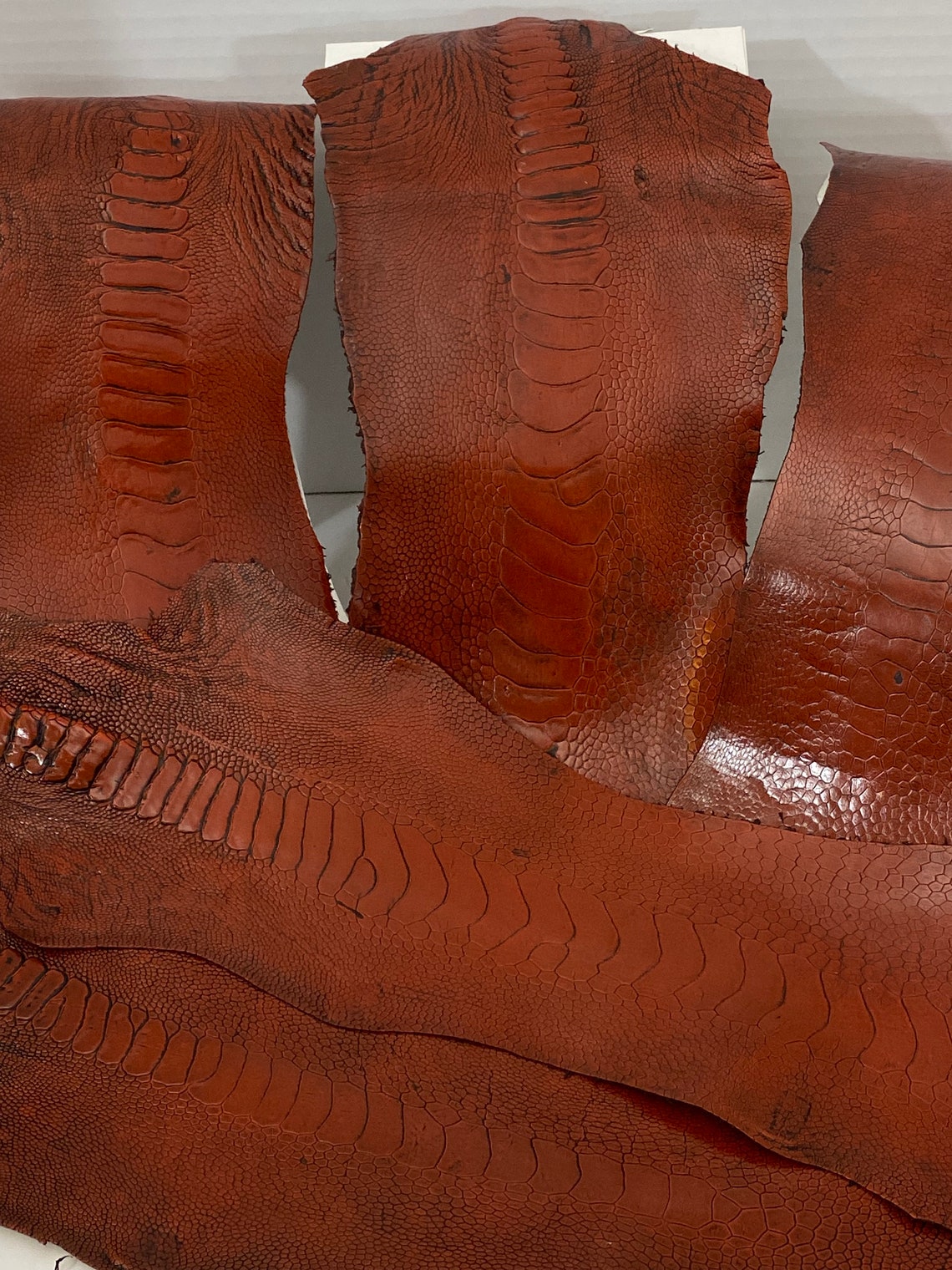 Ostrich Legs Leathers Almond vintage GL Color G.A | Etsy