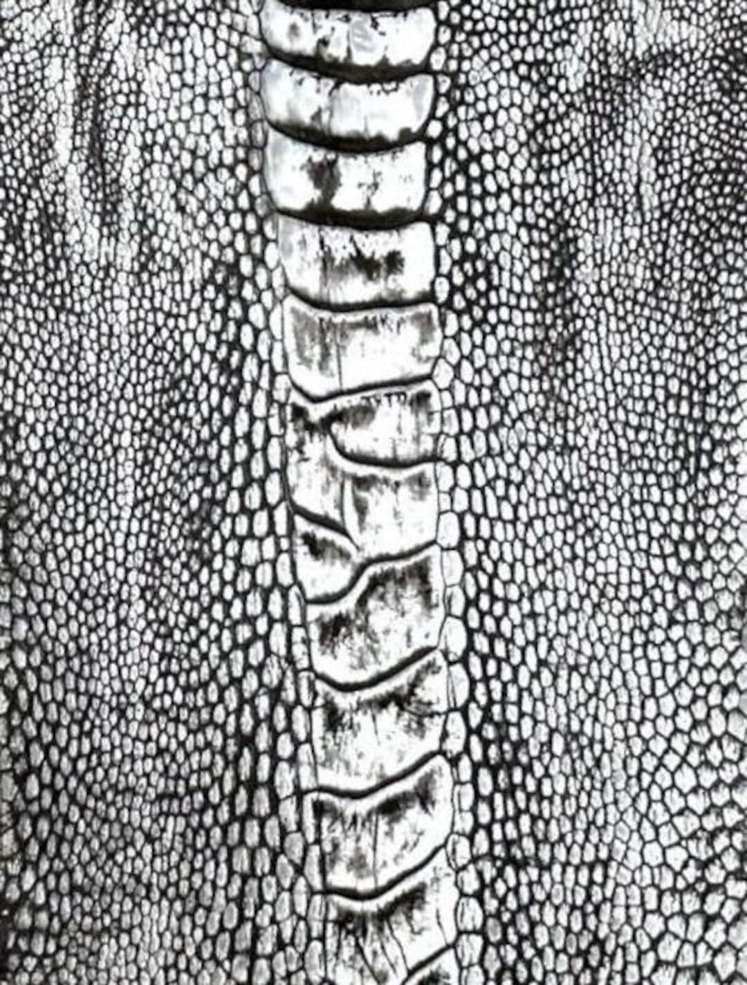 Ostrich Leg Leathers Rio Black Color (stone Washed) - Etsy