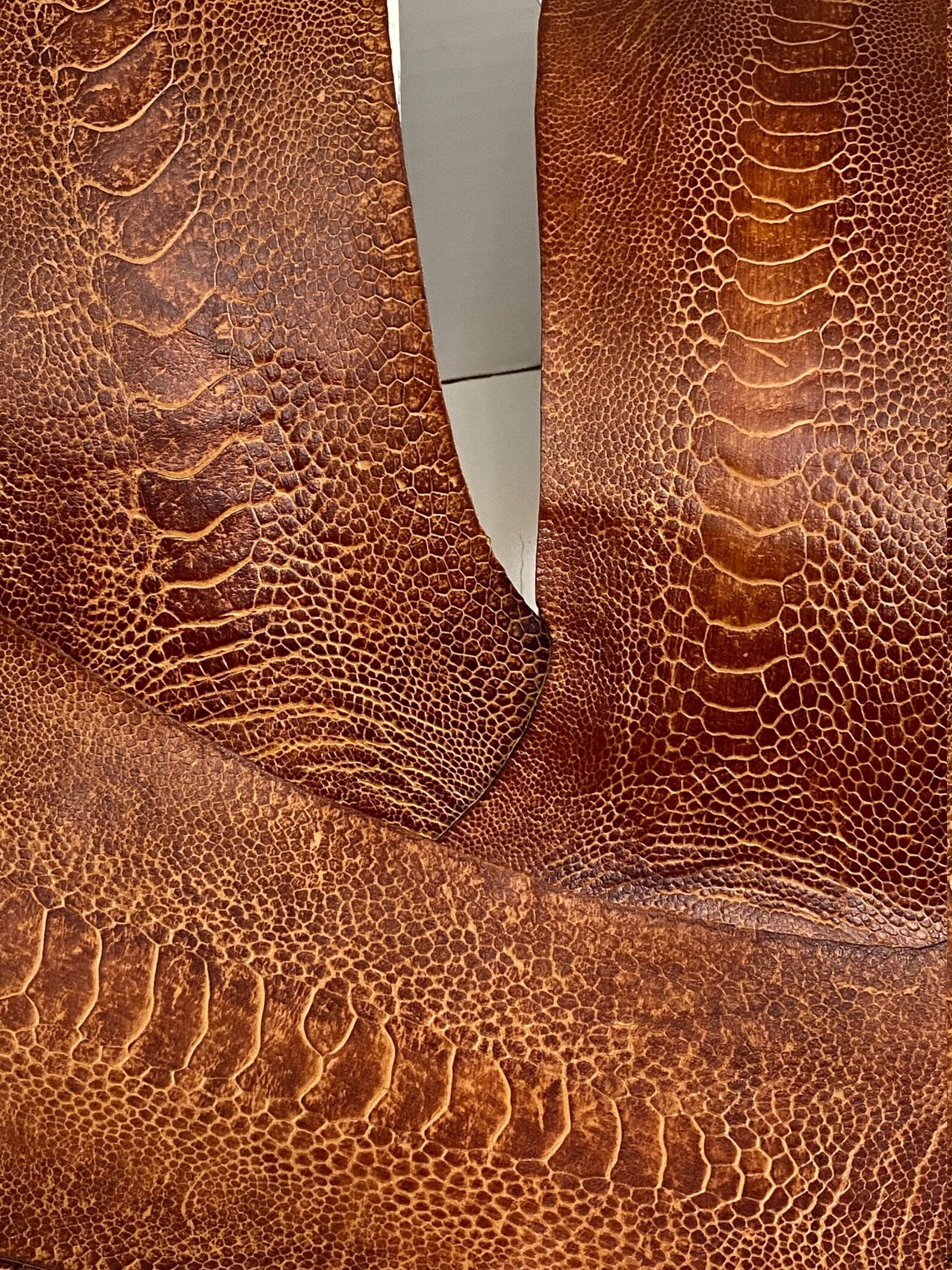 Ostrich Leg Leathers Vintage Chestnut Color | Etsy