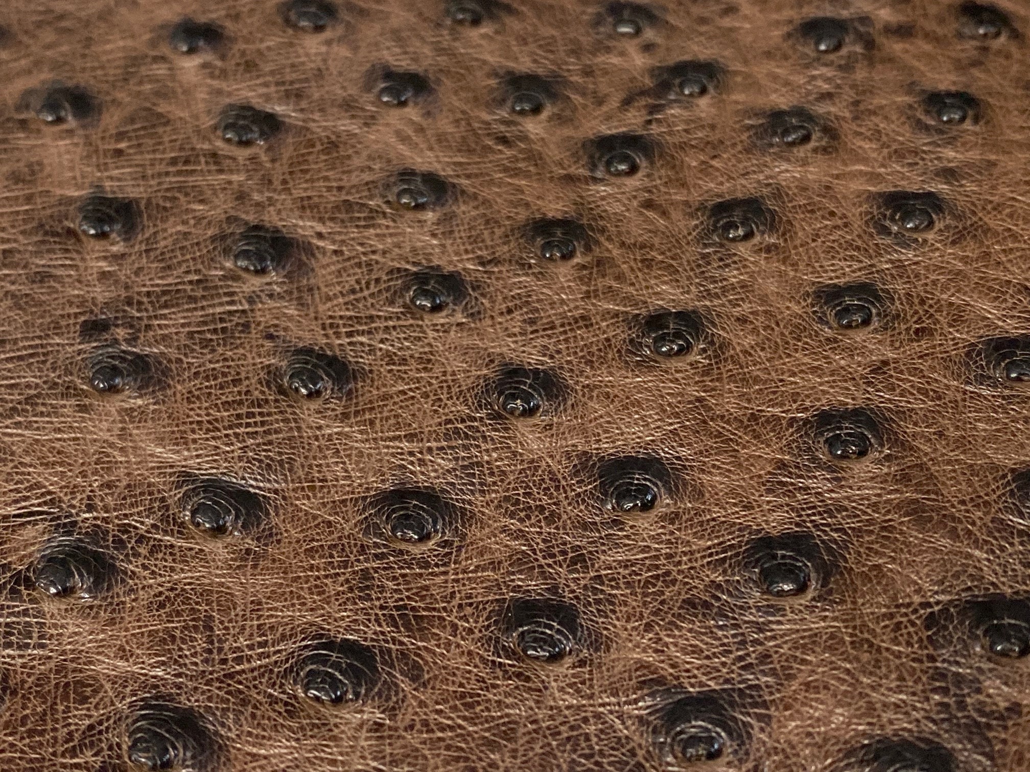 Ostrich Hide Leather Kango Tabac Color burciato %100 | Etsy