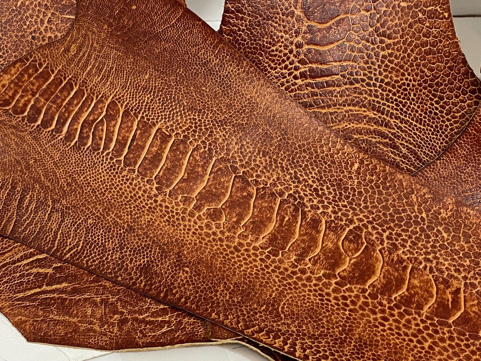 Ostrich Leg Leathers Vintage Chestnut Color | Etsy