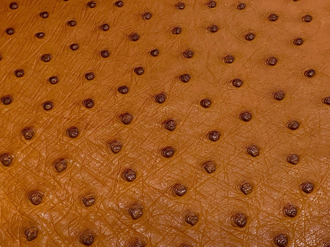 Ostrich Hide Leather Cognac Color SF (%100 Genuine Natural Skin) - Etsy